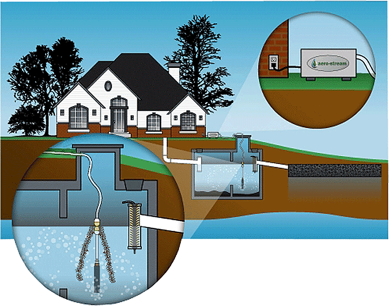 Green Solution to Septic Tank & Septic System Problems